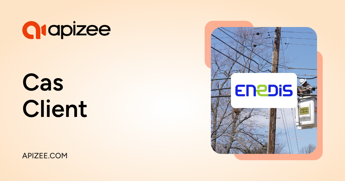 Cas client Enedis - Apizee